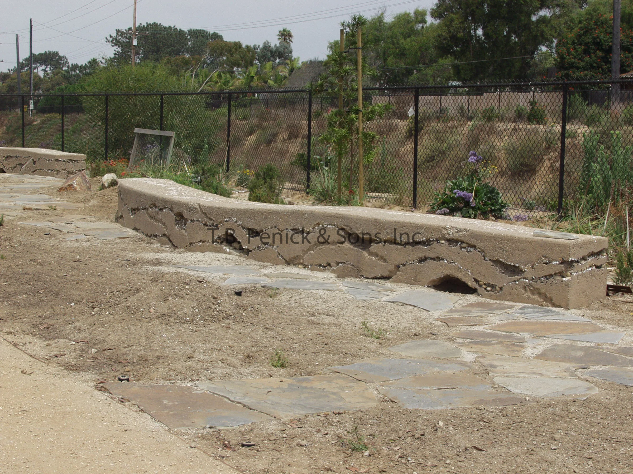 Lithocrete — T.B. Penick & Sons