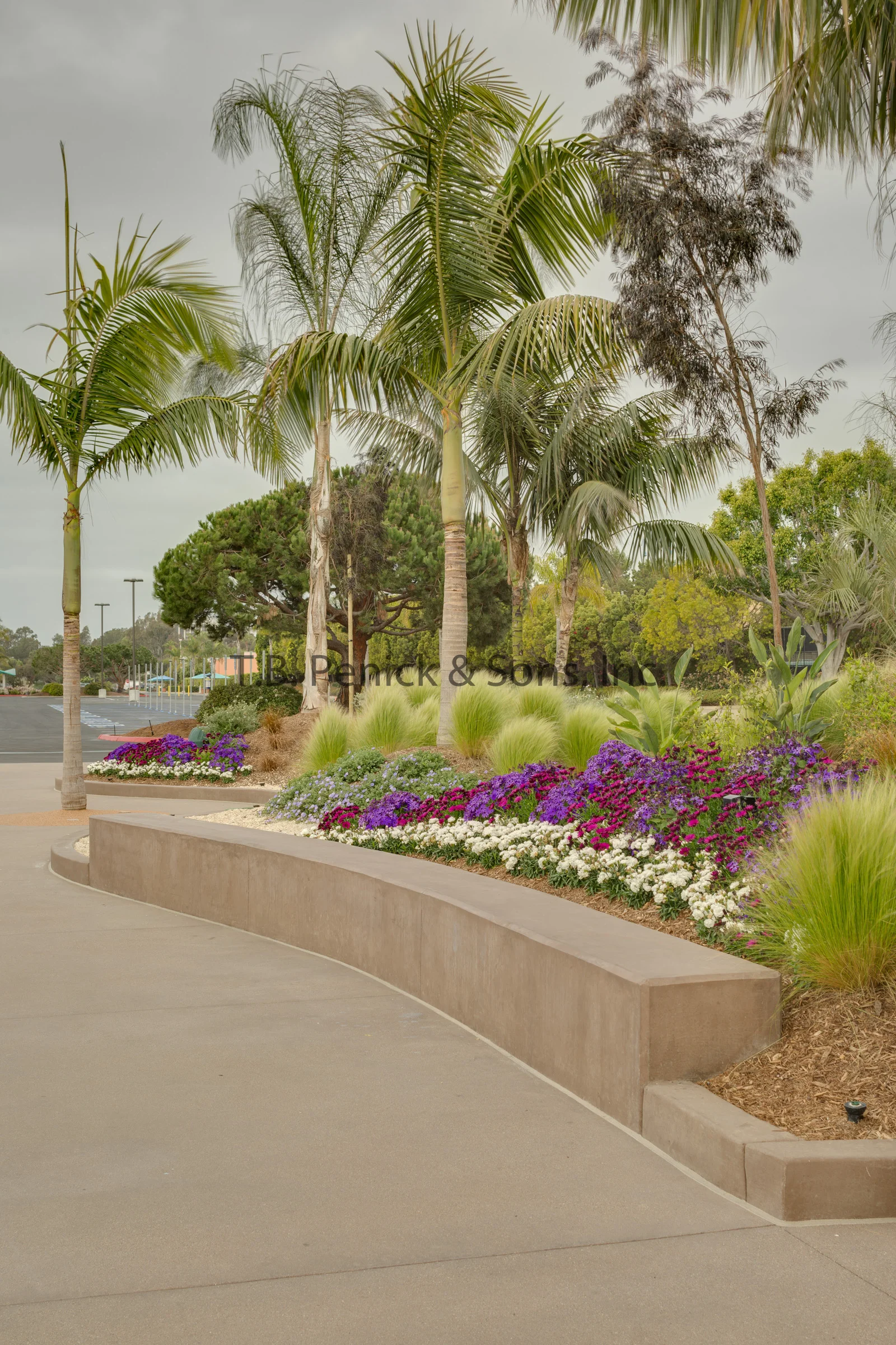 Sea World - Lithocrete, Quarry Stone finish, & Walls — T.B. Penick & Sons