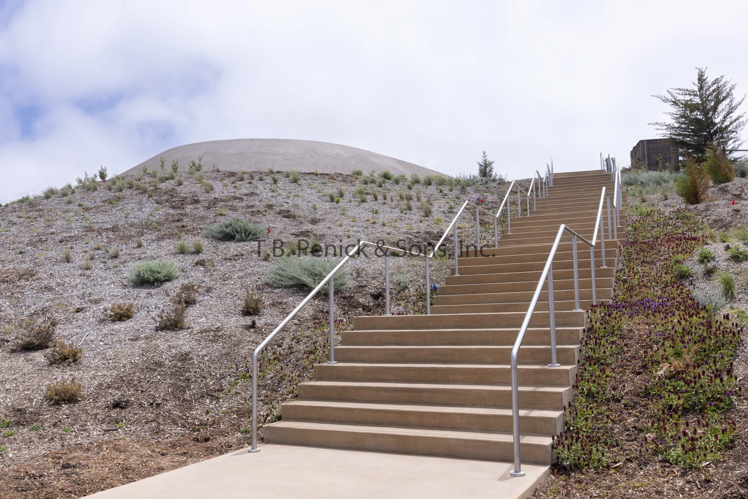 Presidio Tunnel Tops - Lithocrete — T.B. Penick & Sons
