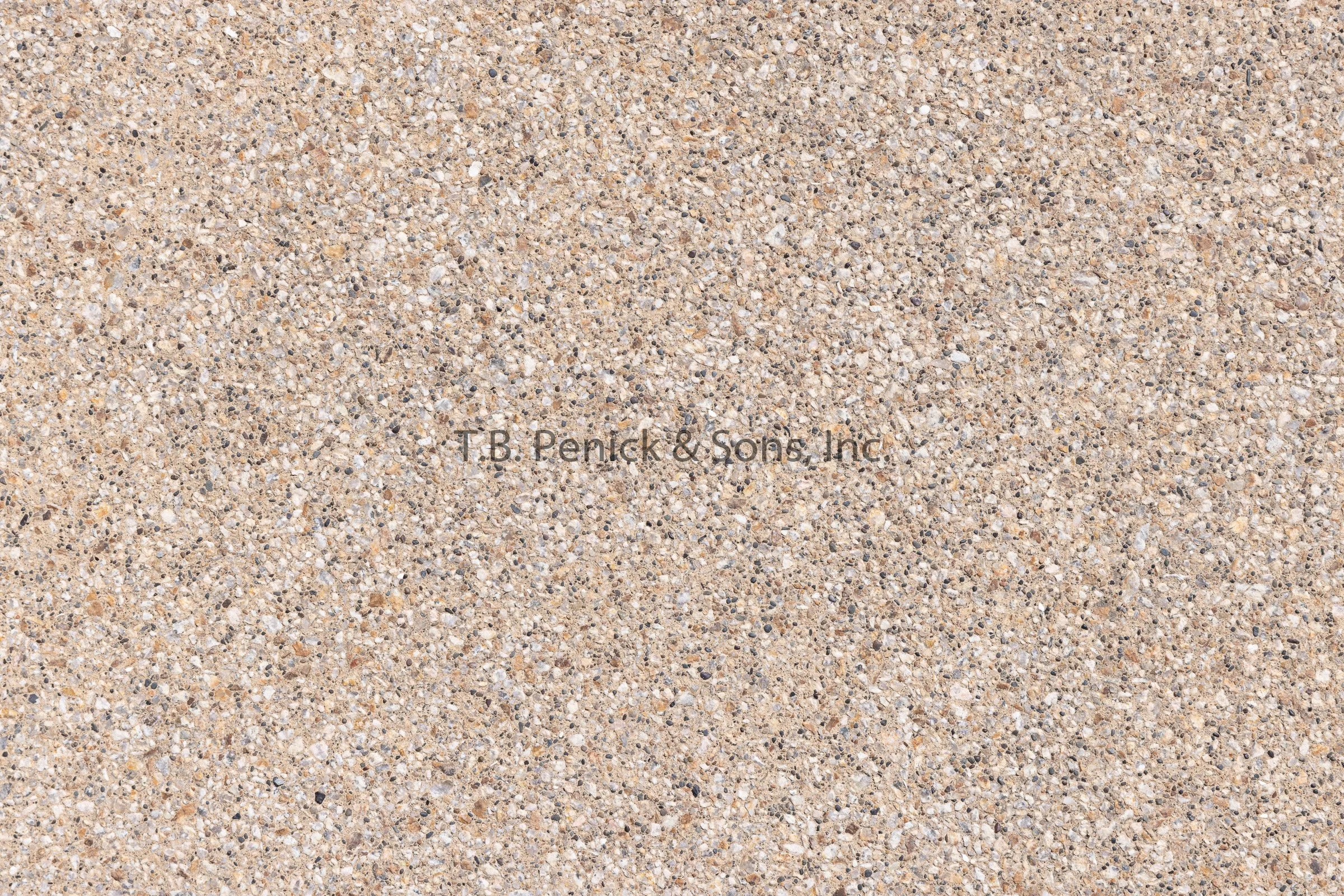 Presidio Tunnel Tops - Lithocrete — T.B. Penick & Sons