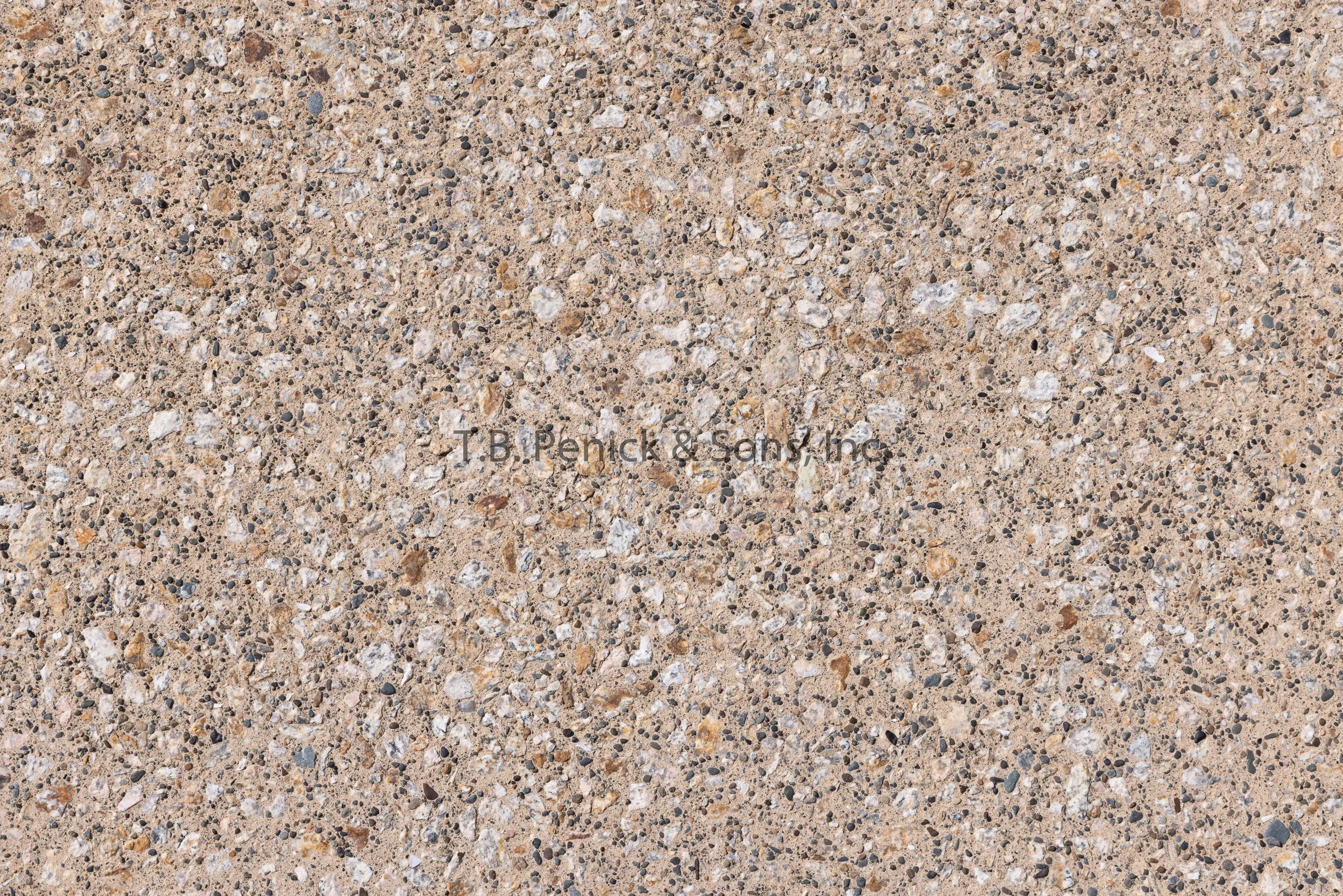 Presidio Tunnel Tops - Lithocrete — T.B. Penick & Sons