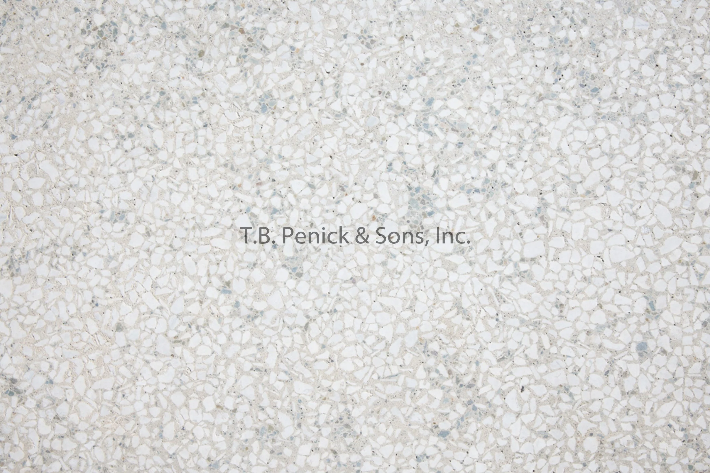 Sea World - Lithocrete, Quarry Stone finish, & Walls — T.B. Penick & Sons
