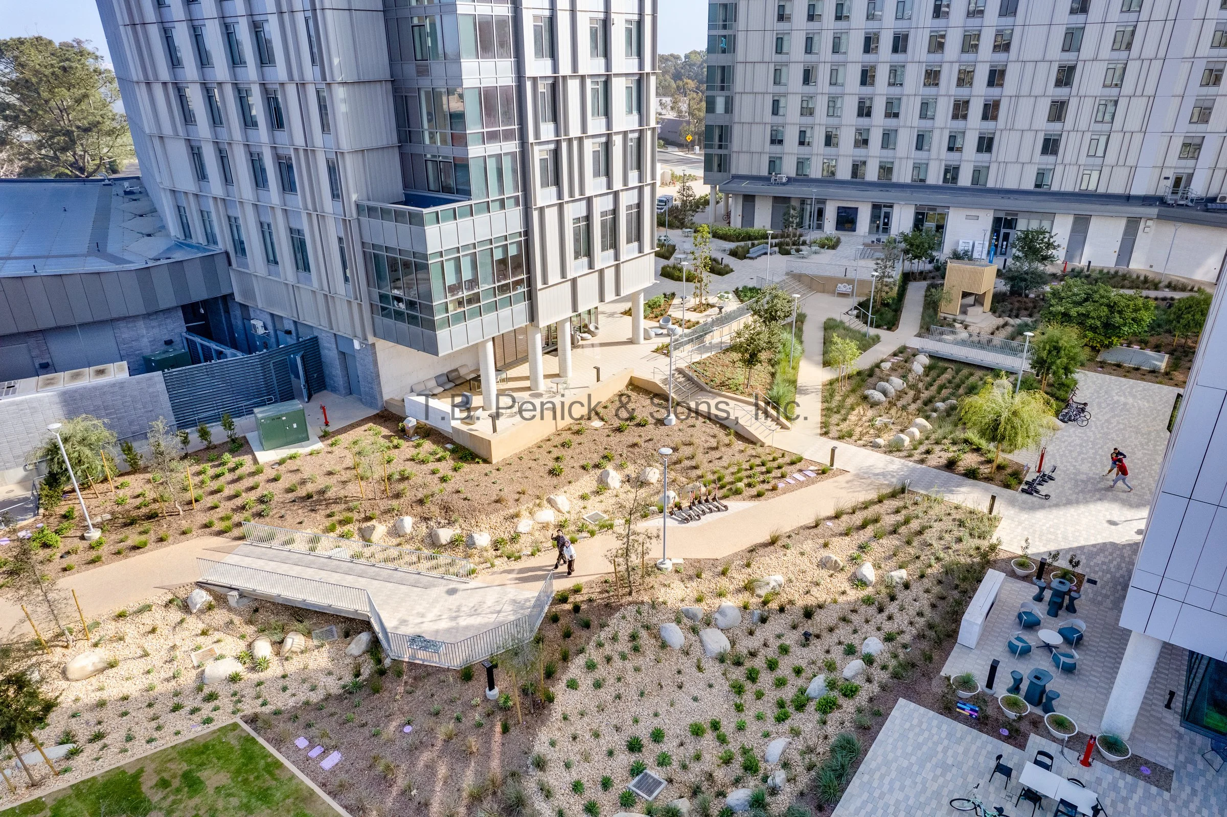 UCSD TDLLN - Quarried Stone Finish — T.B. Penick & Sons