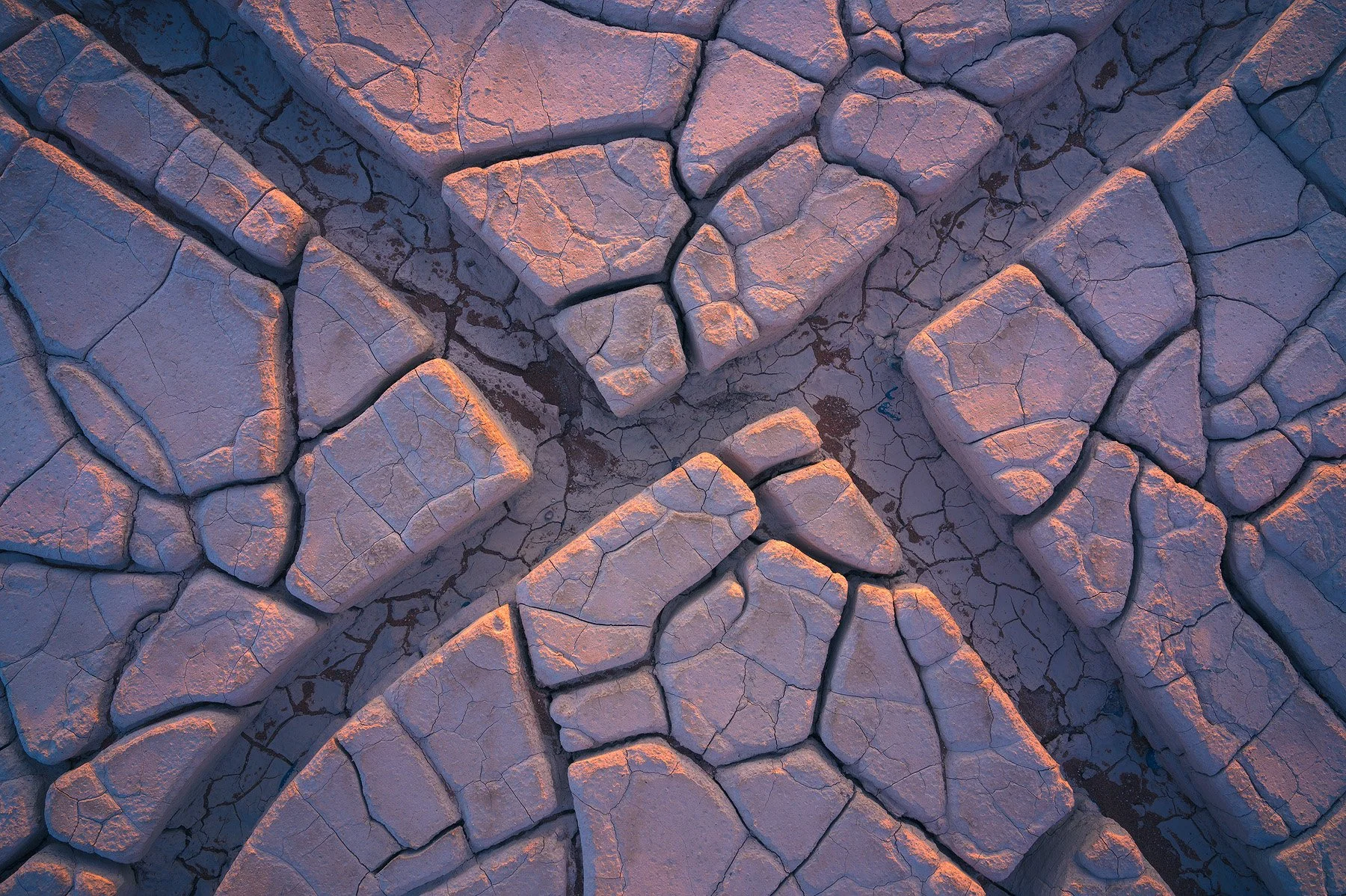 Arid Land - Mark Dumbleton