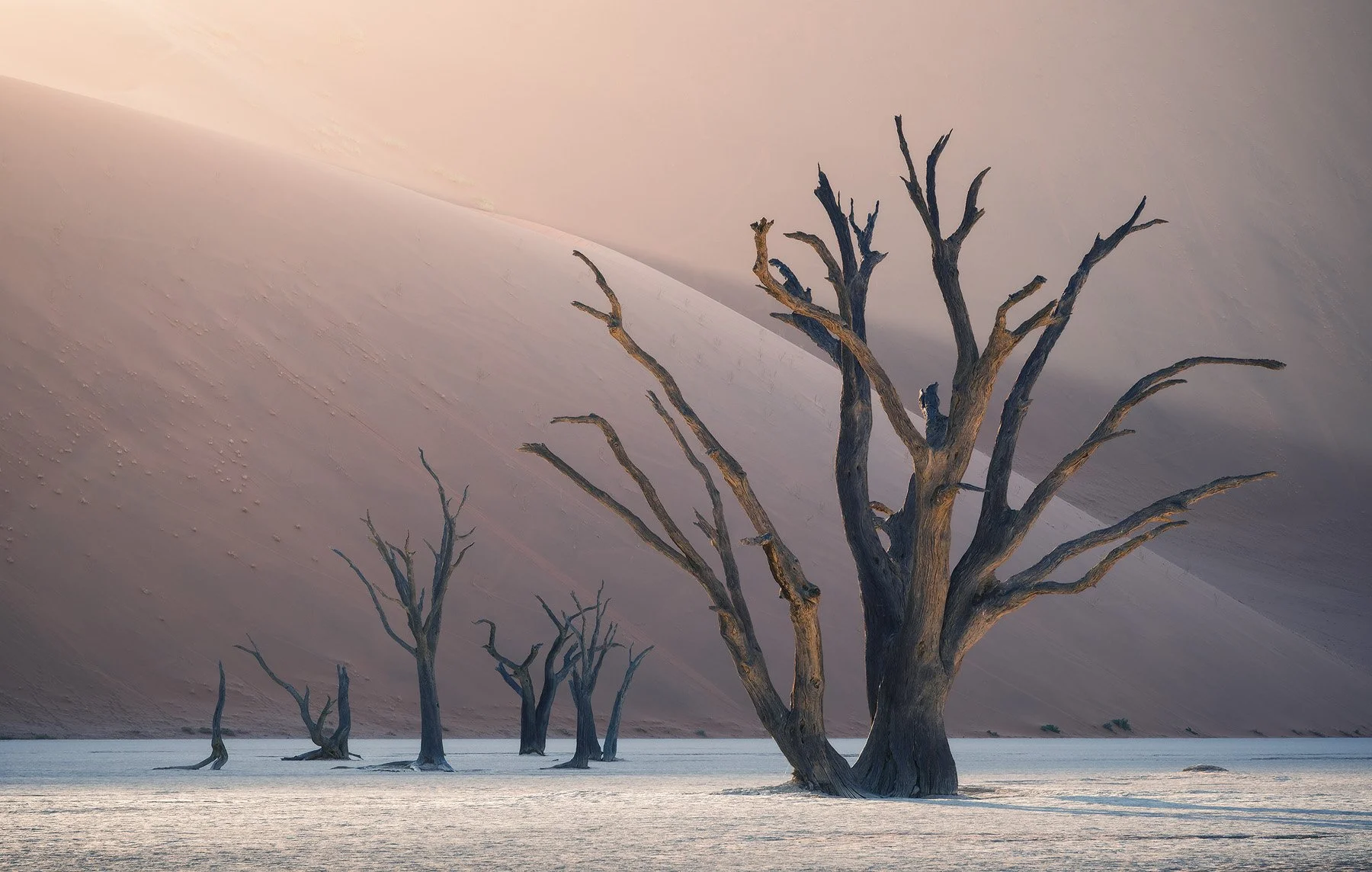 Arid Land - Mark Dumbleton