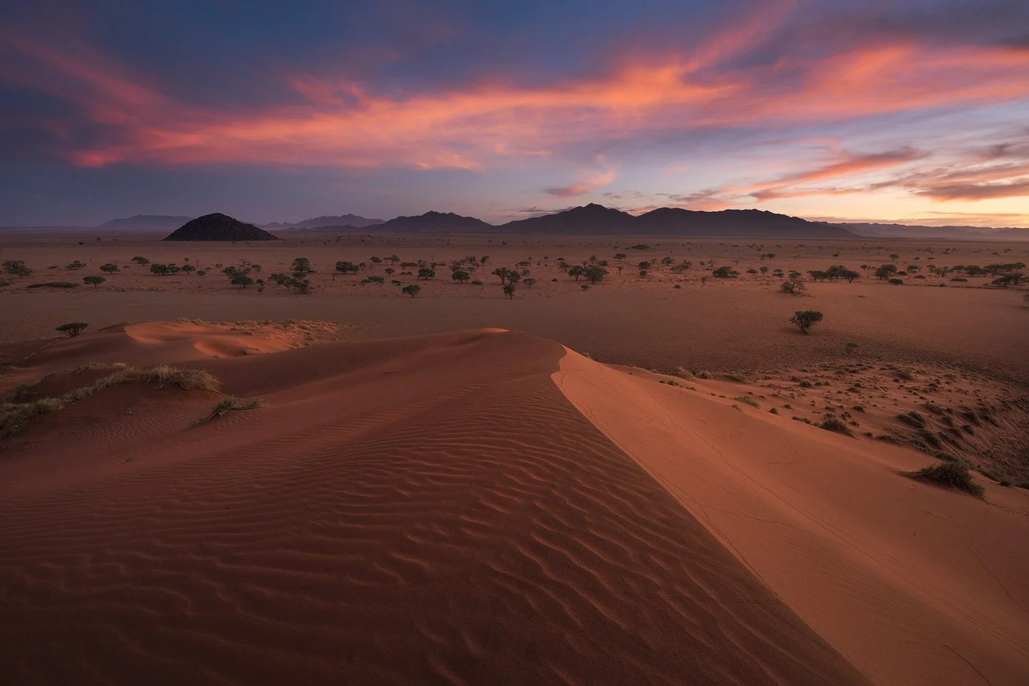 Arid Land - Mark Dumbleton Photography