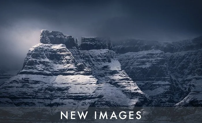 Mark Dumbleton | Wildlife & Landscape Photography