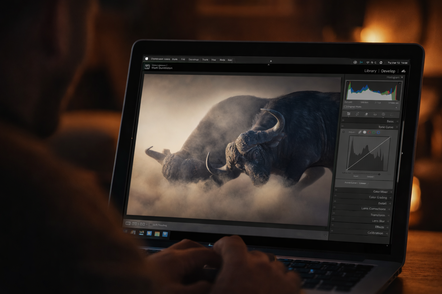 Mark Dumbleton Photography | Wildlife & Landscape Photography