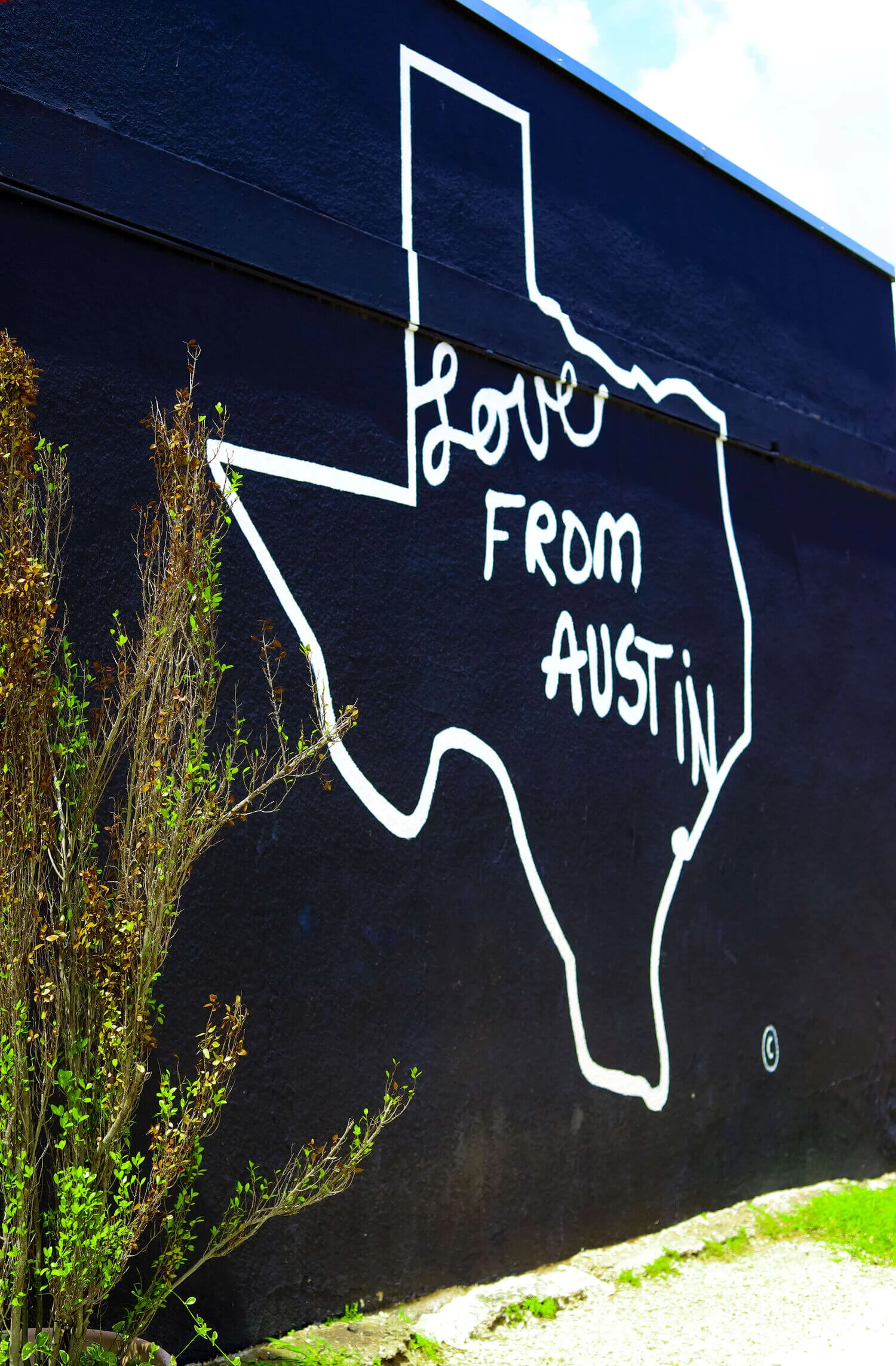 10 Must See Austin Murals on South Congress | Swift Wellness