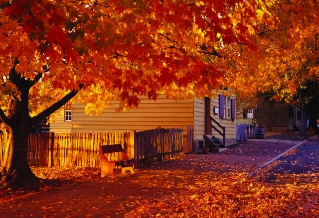 31 Best US Destinations To See Fall Foliage This Year | Swift Wellness