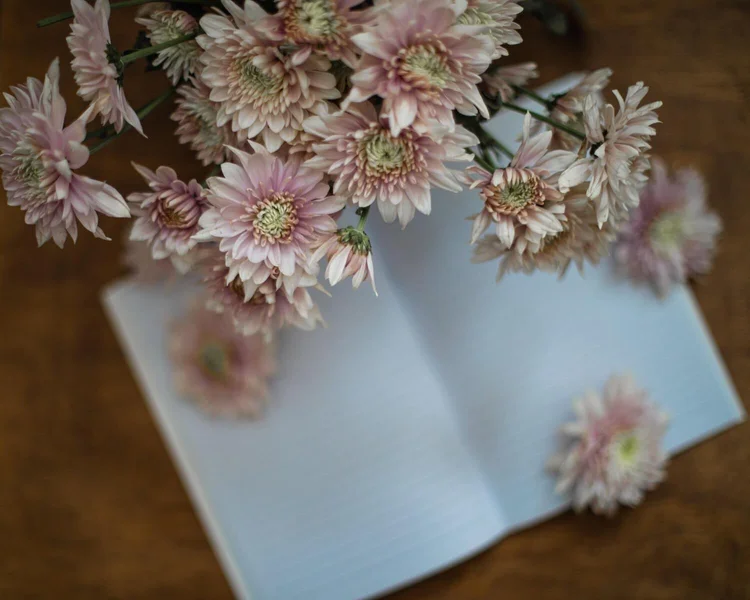 The Year Is Almost Over--Have You Told Yourself Thank You Yet? | Swift ...