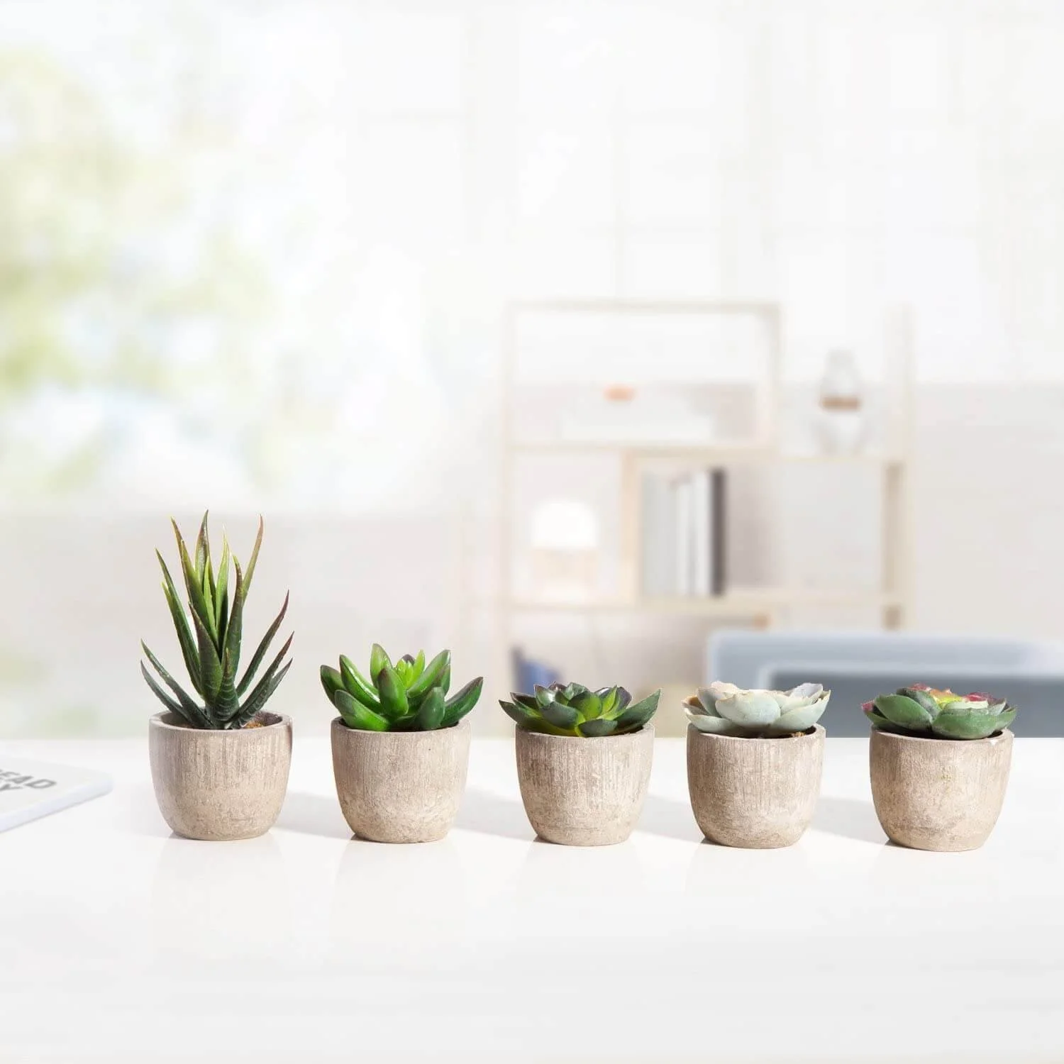27 Best Decor Finds For That Plant Aesthetic | Swift Wellness