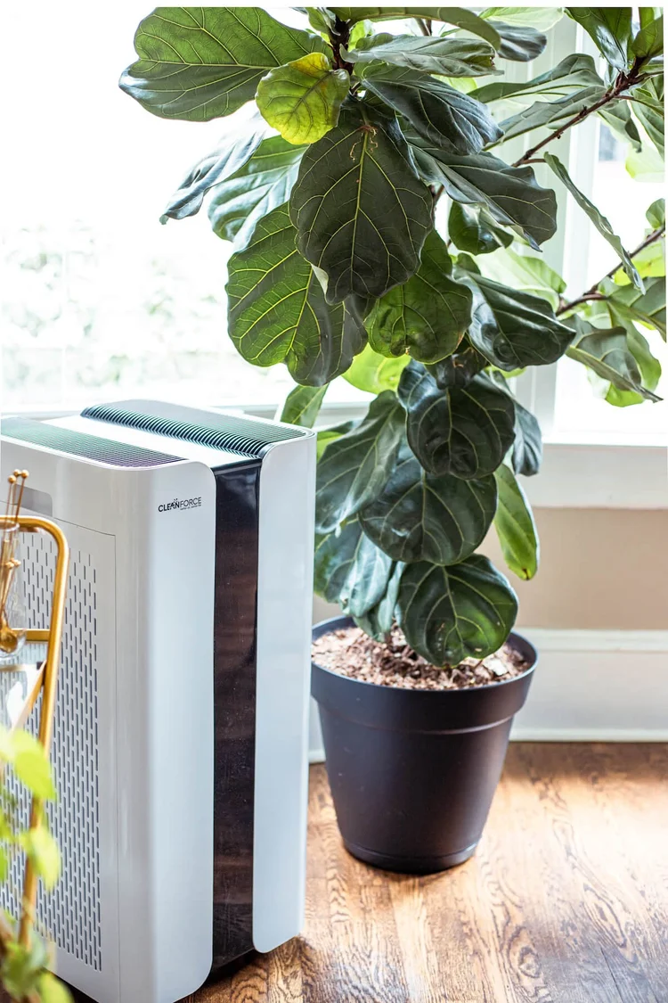 11 Reasons Why An Air Purifier Should Be In Your Home | Swift Wellness