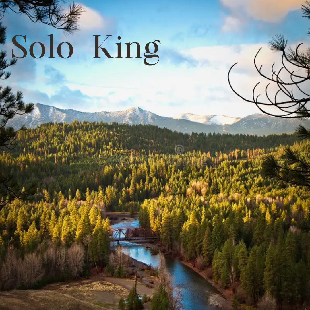 Solo King