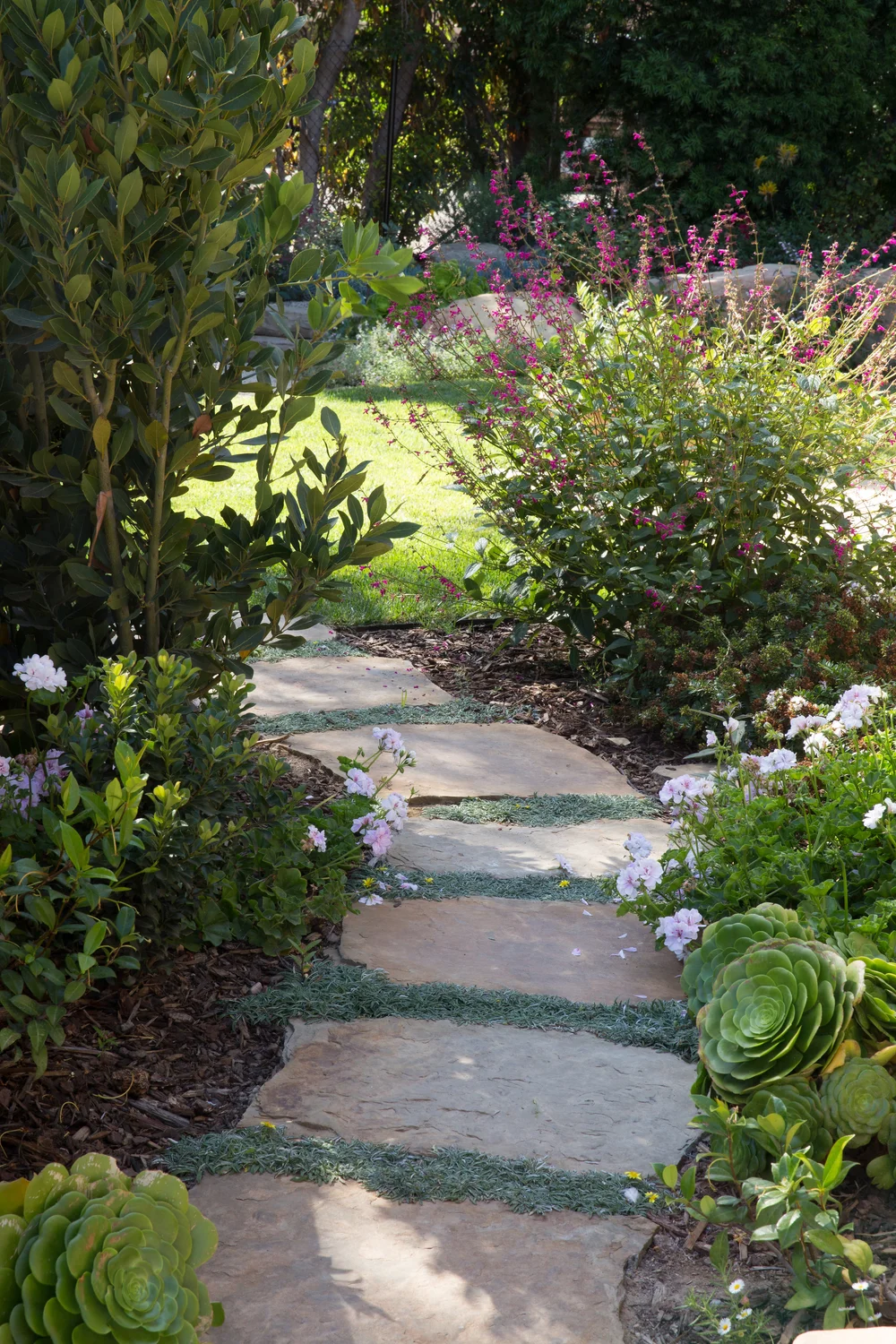 Gallery — Steve Hanson Landscaping
