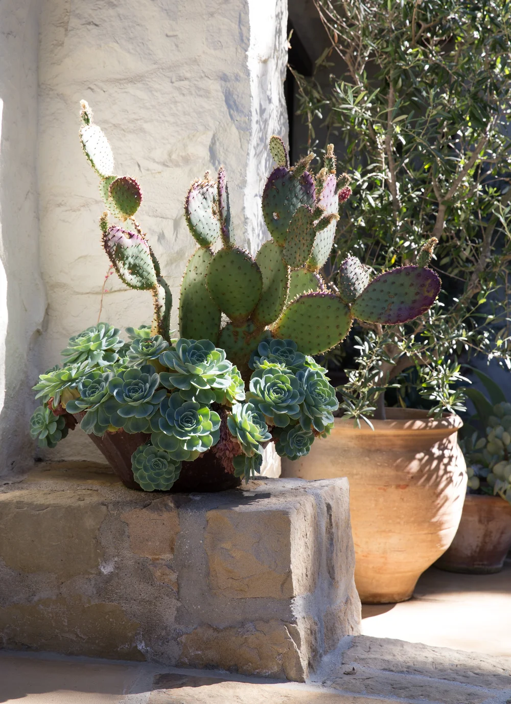 Services — Steve Hanson Landscaping