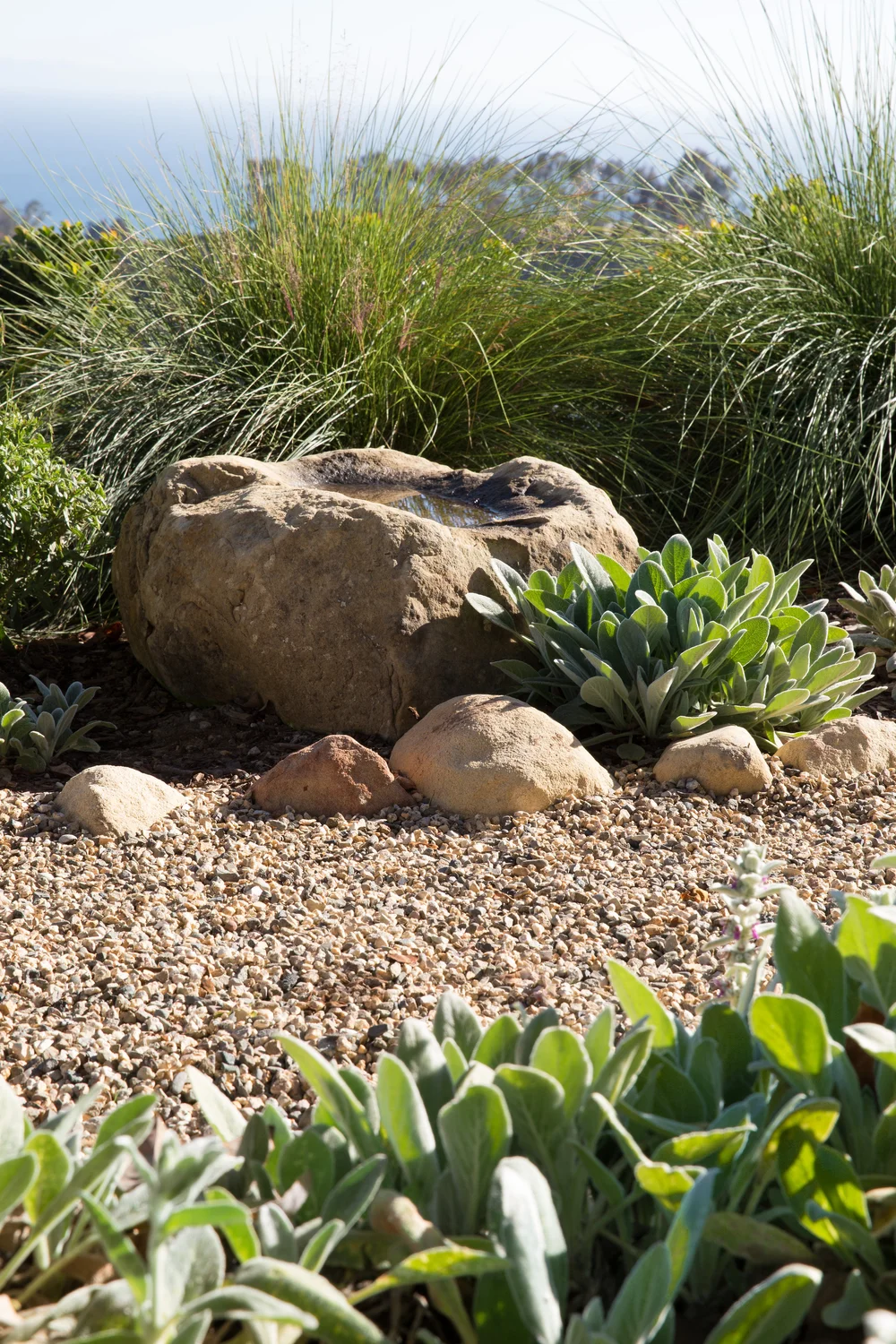 Gallery — Steve Hanson Landscaping
