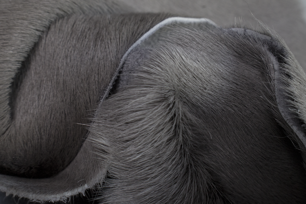 Italian Hair — Bellapelle