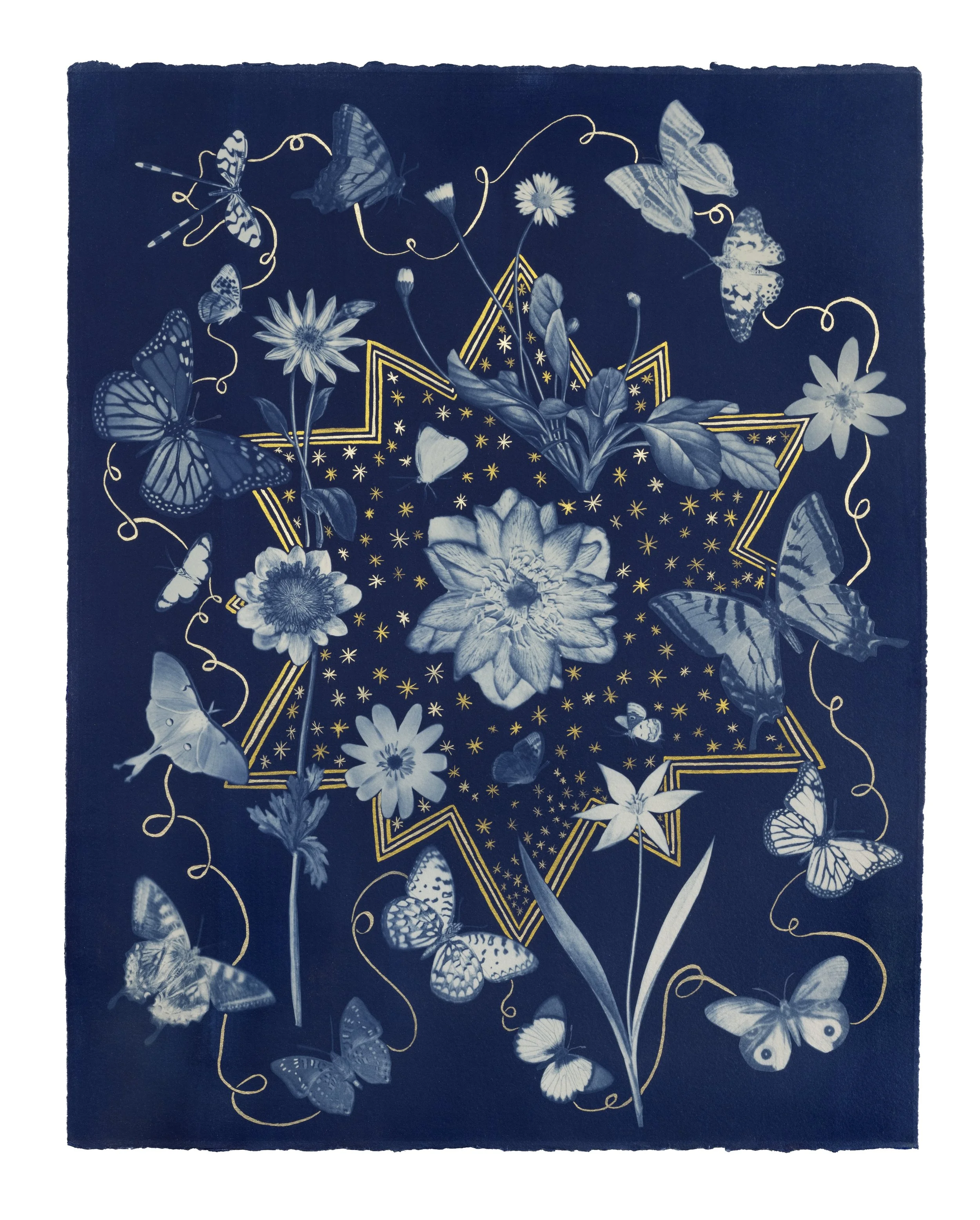Julia Whitney Barnes