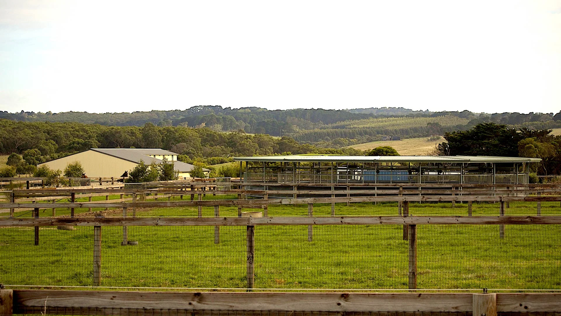 News — Musk Creek Farm