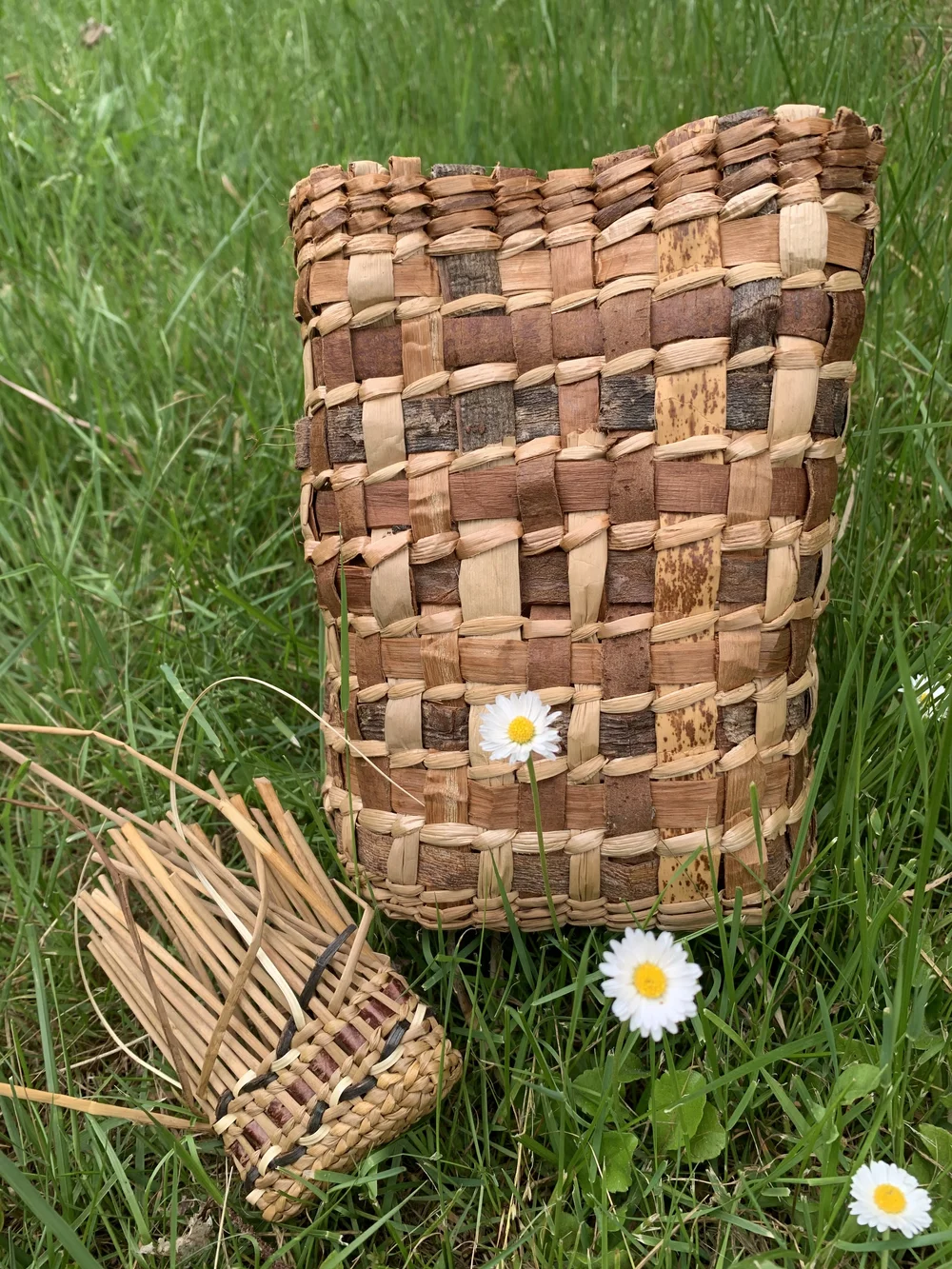 Classes — Misti Washington Gourd and Basket Guild