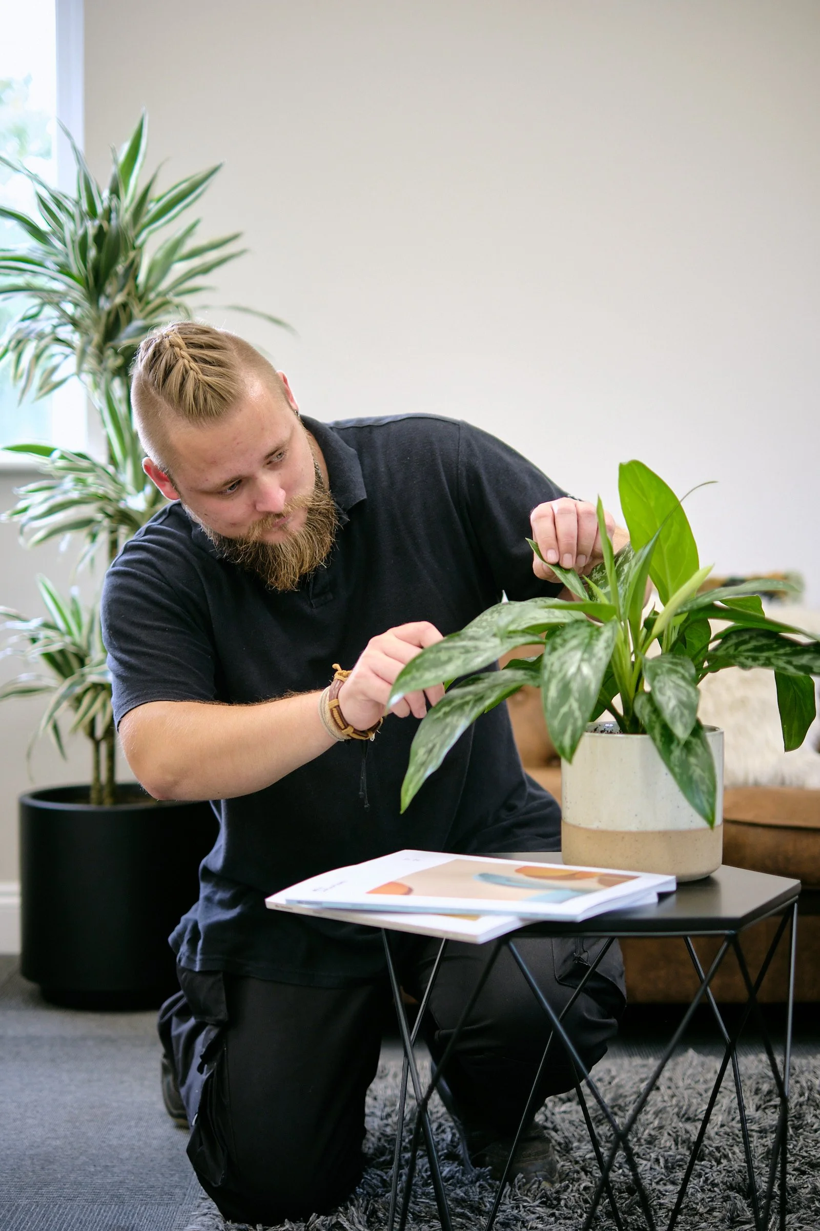 How does the maintenance work? - PlantCare