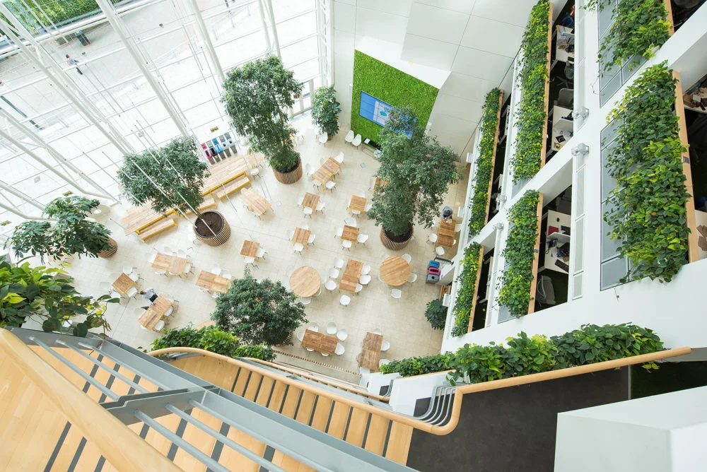 Our Case Studies - PlantCare