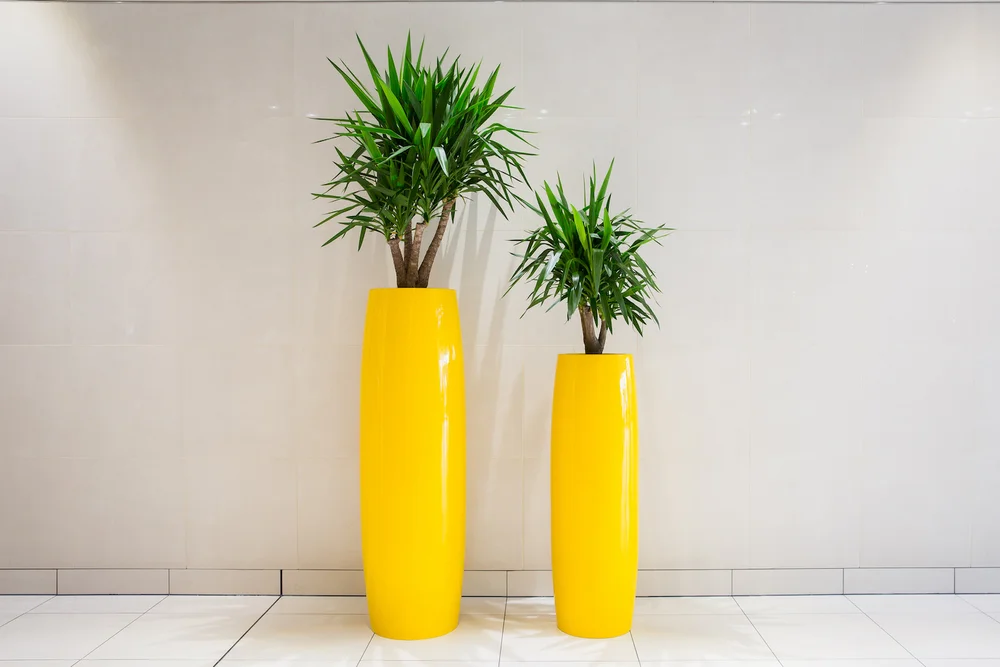 Planting Services - PlantCare