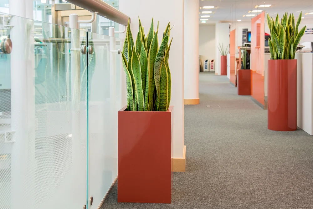 Planting Services - PlantCare