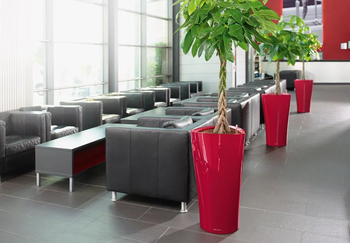 Planting Services - PlantCare