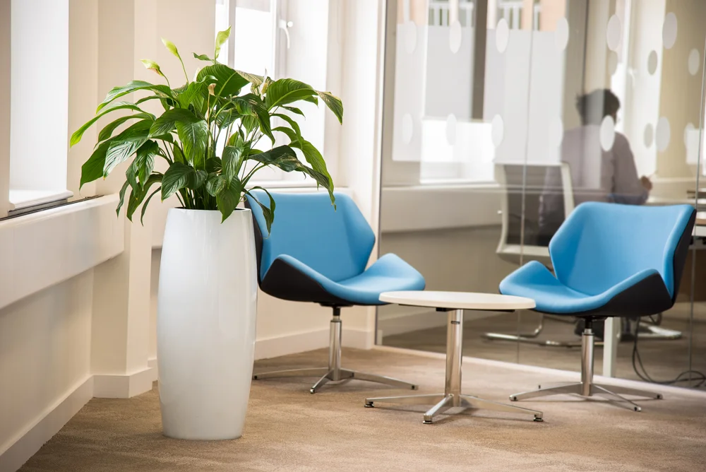 Planting Services - PlantCare