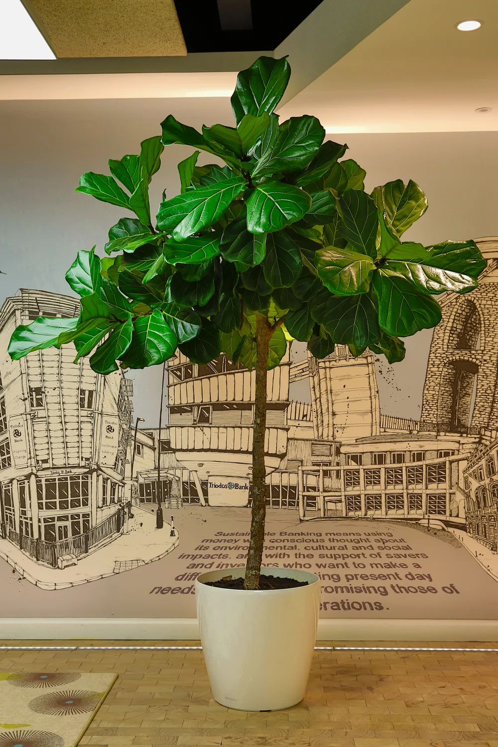 Planting Services - PlantCare