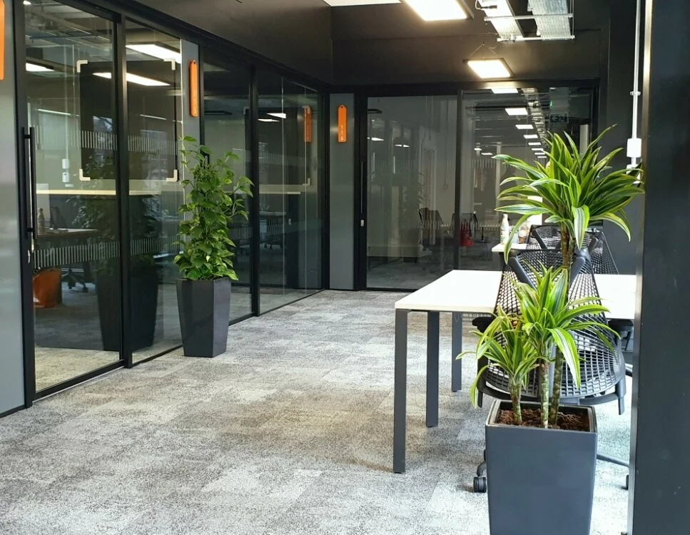 Origin Workspace Project - PlantCare