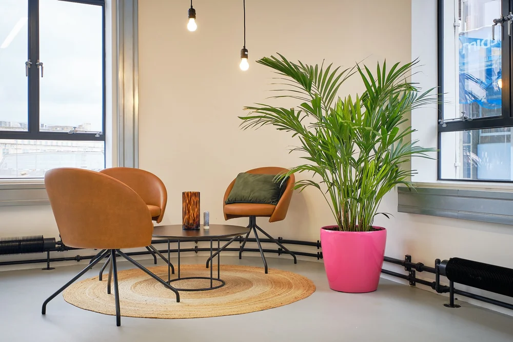 Planting Services - PlantCare