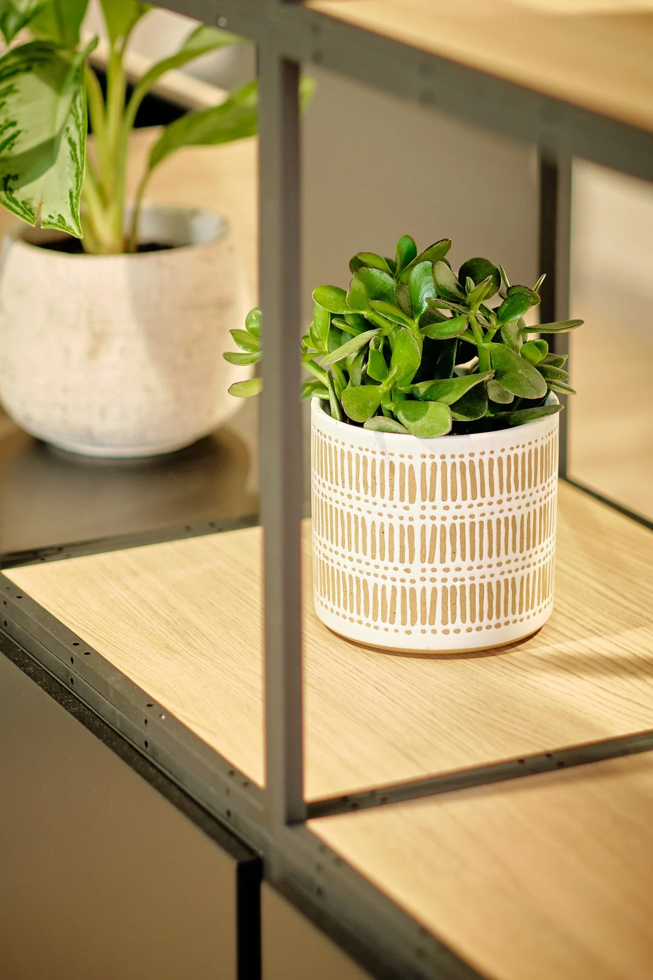 Planting Services - PlantCare