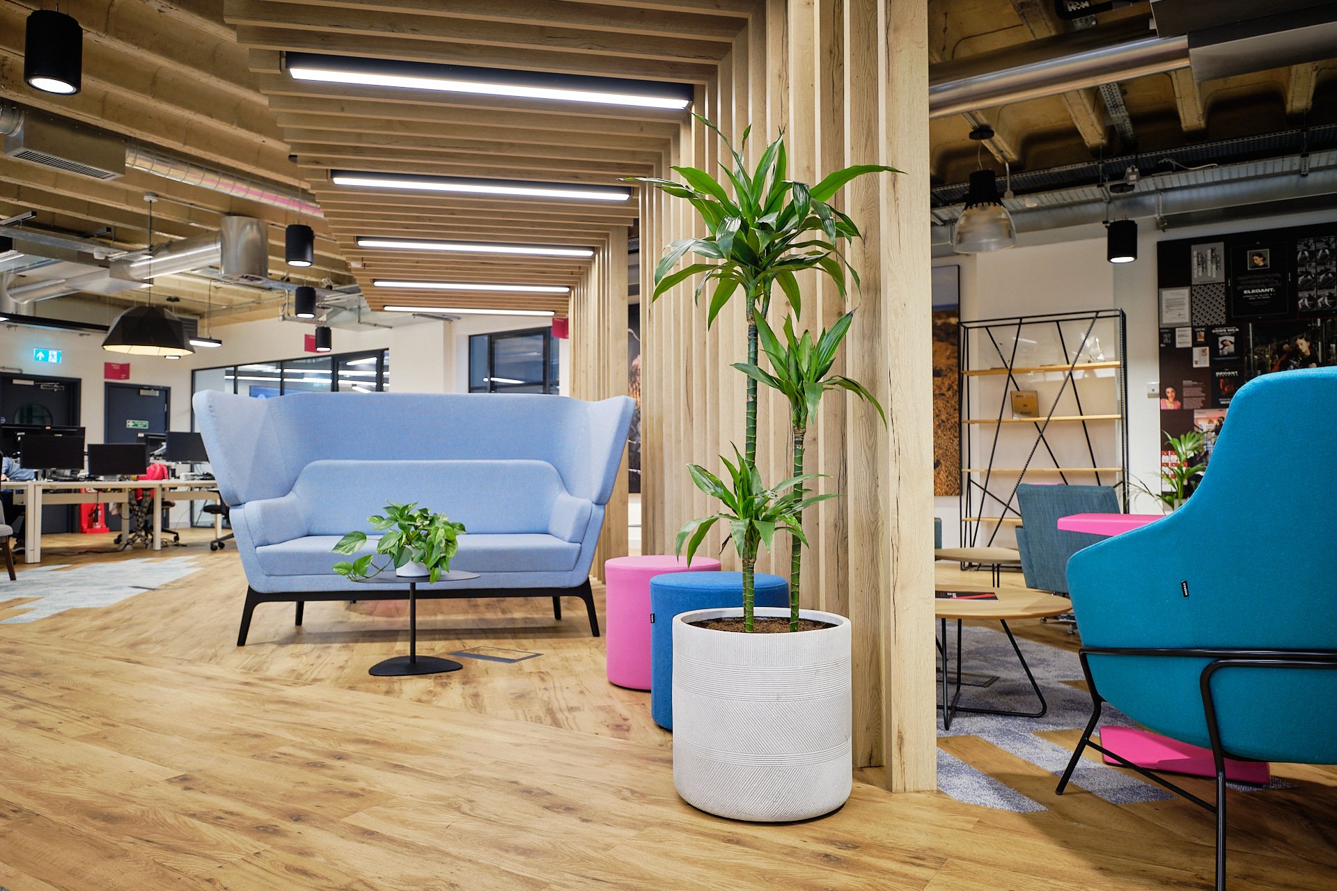 Planting Services - PlantCare