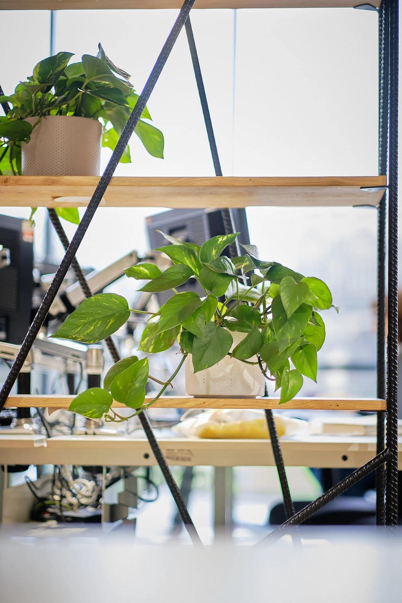 Planting Services - PlantCare