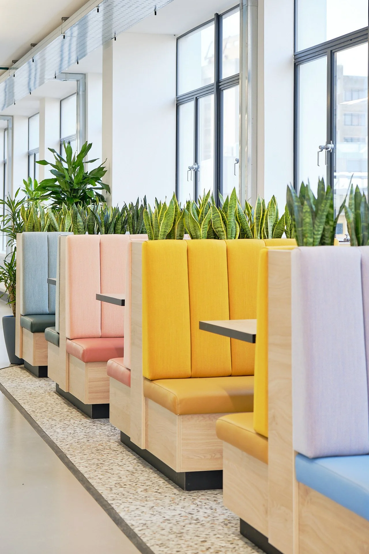 Planting Services - PlantCare