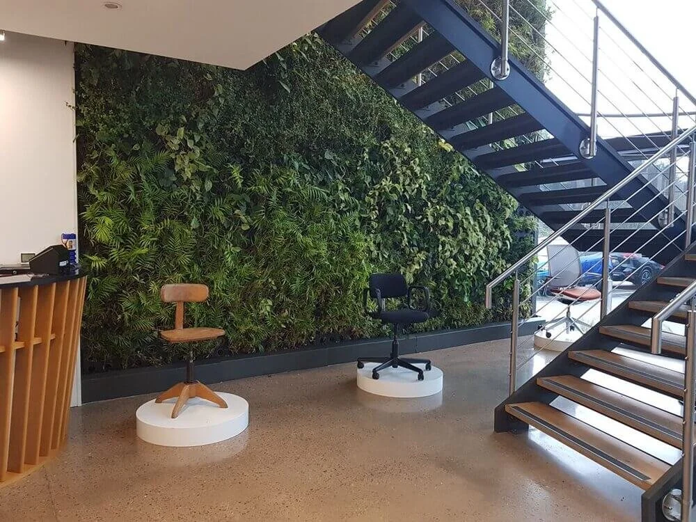 Wall Plants For Offices - PlantCare
