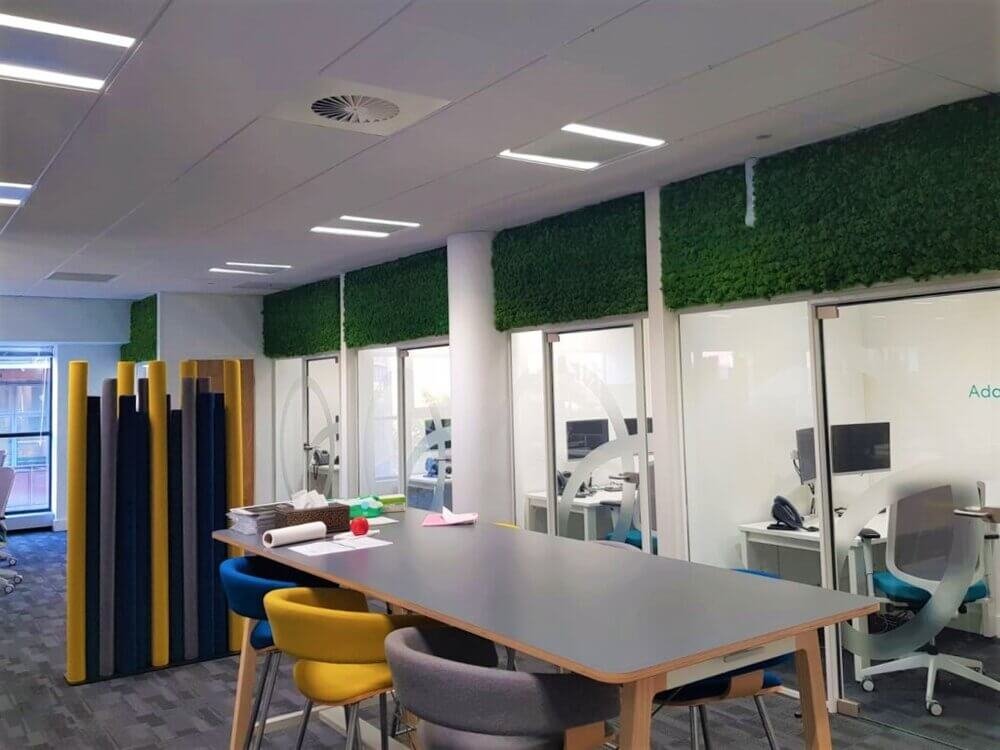 Wall Plants For Offices - PlantCare