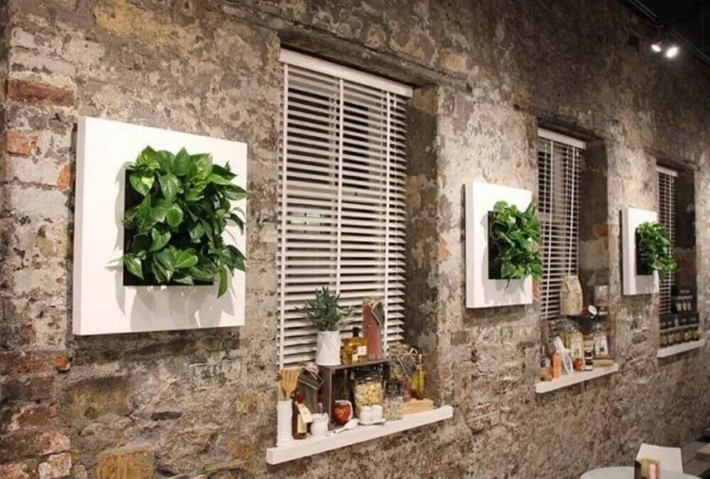 Wall Plants For Offices - PlantCare