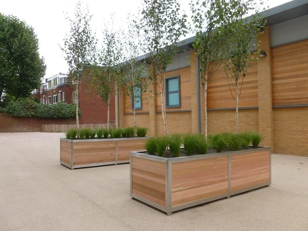 Exterior Plants for Offices - PlantCare