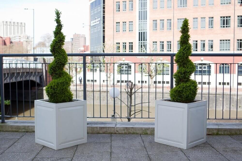 Exterior Plants for Offices - PlantCare