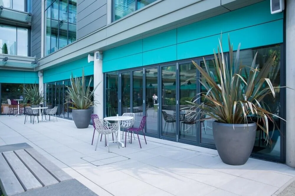 Exterior Plants for Offices - PlantCare