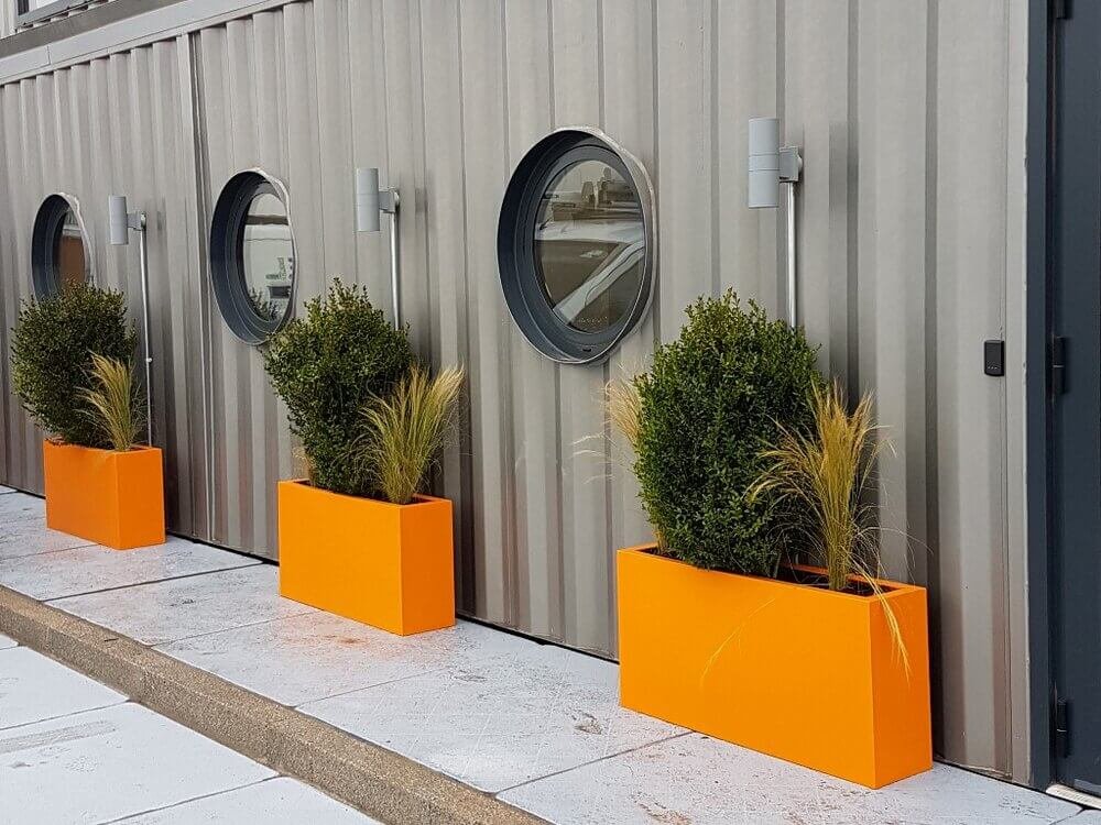 Exterior Plants for Offices - PlantCare