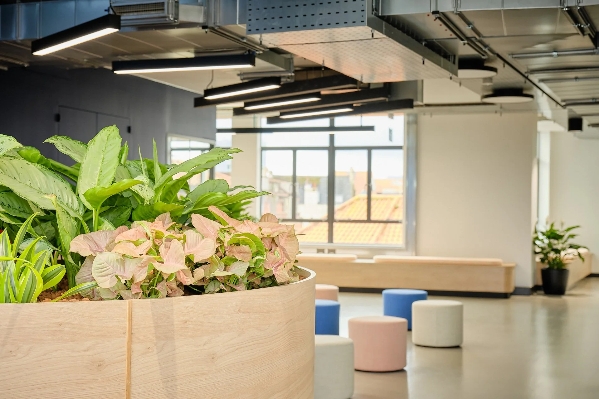 Immersive Labs Project - PlantCare