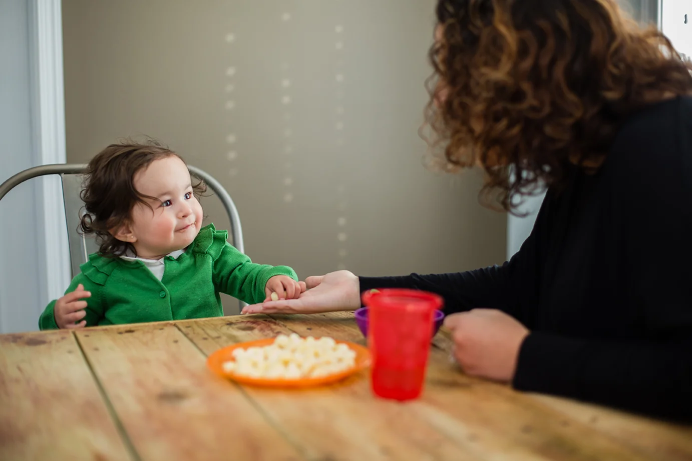 Little Leaves Behavioral Services