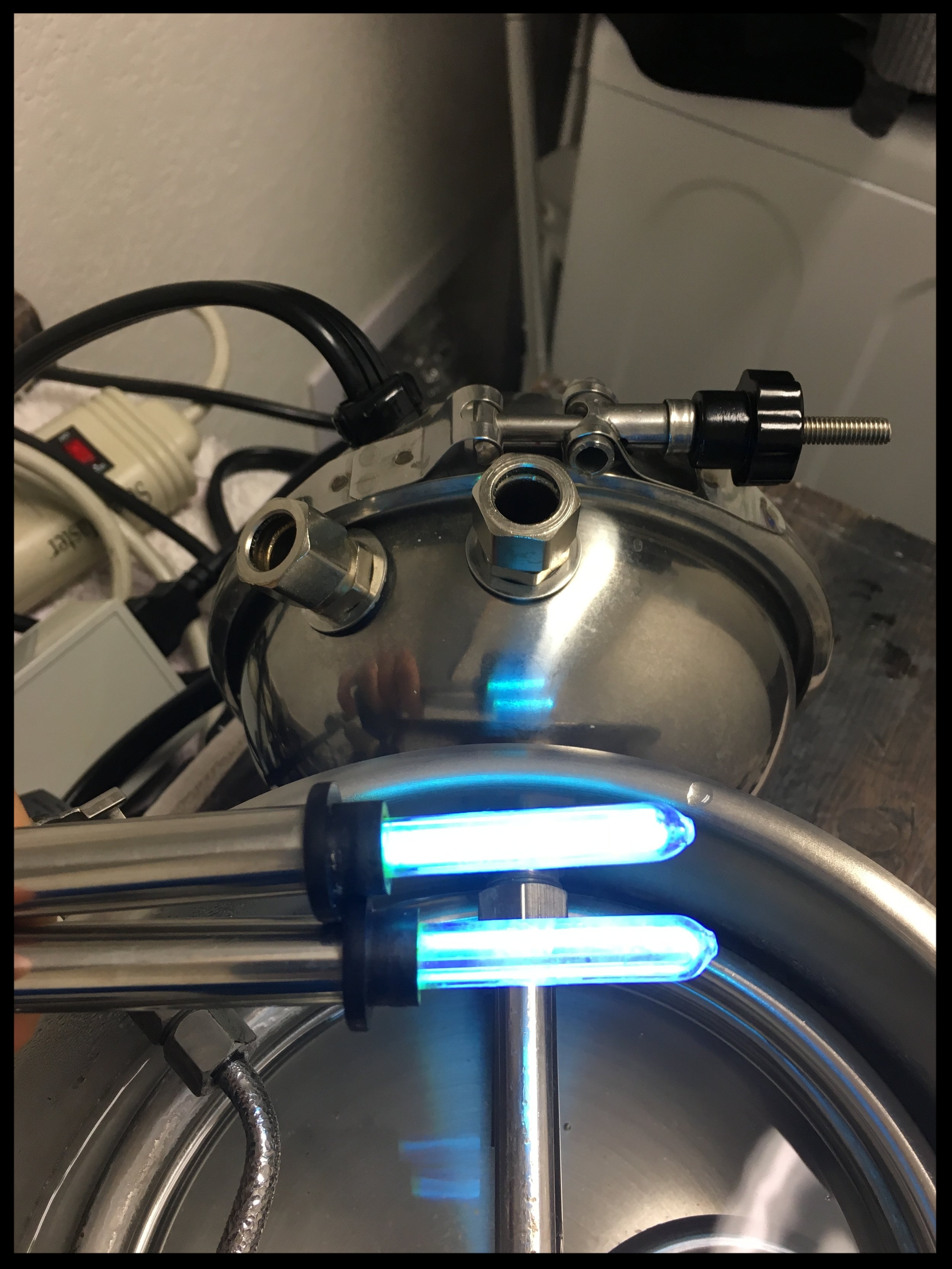 John Ellis Living Water 9 Gallons (BPA - FREE) — John Ellis Water