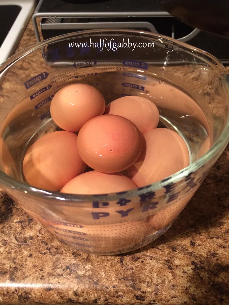 An Egg Miracle: My Newest Product Obsession — Half of Gabby