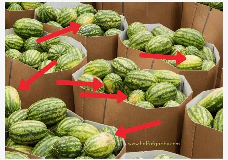 How To Pick the Perfect Watermelon — Half of Gabby